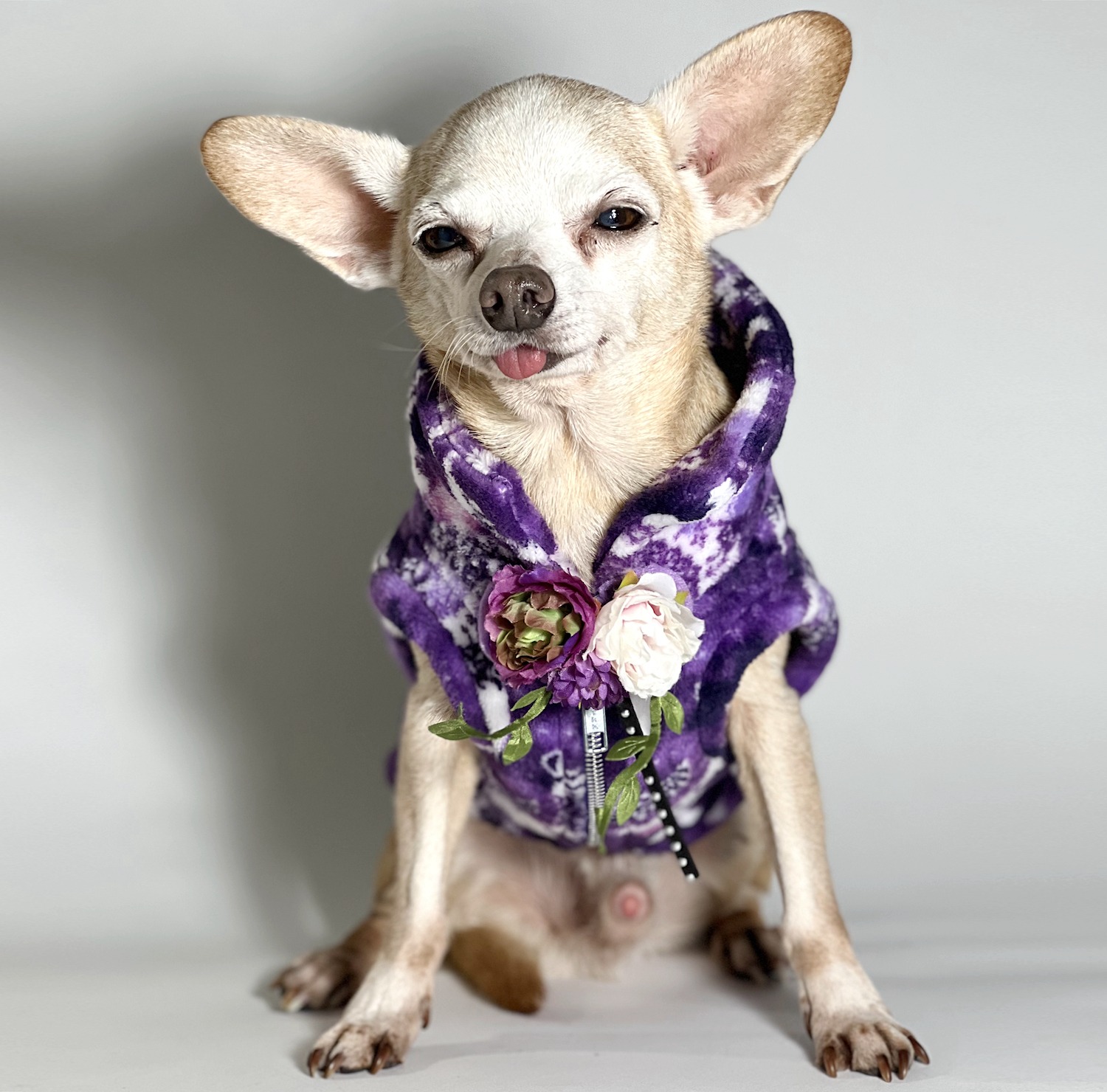 LOLA & POOCH -- Purple minky Dog Dress