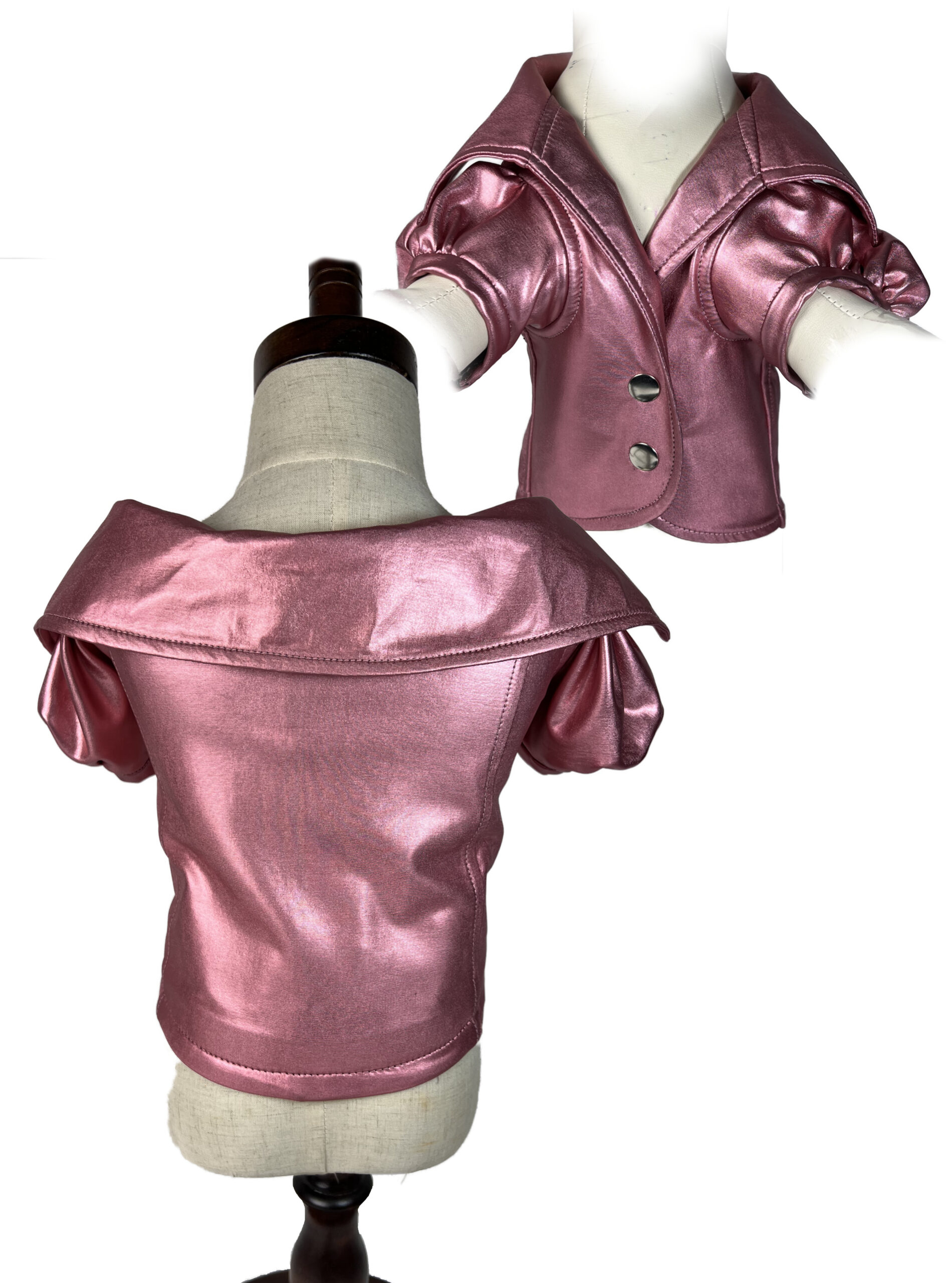 LOLA & POOCH--Doggie Designer Sportswear